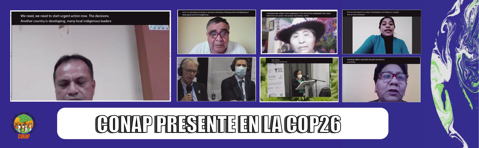 CONAP en Side Event de la COP26 – Confederación de Nacionalidades ...