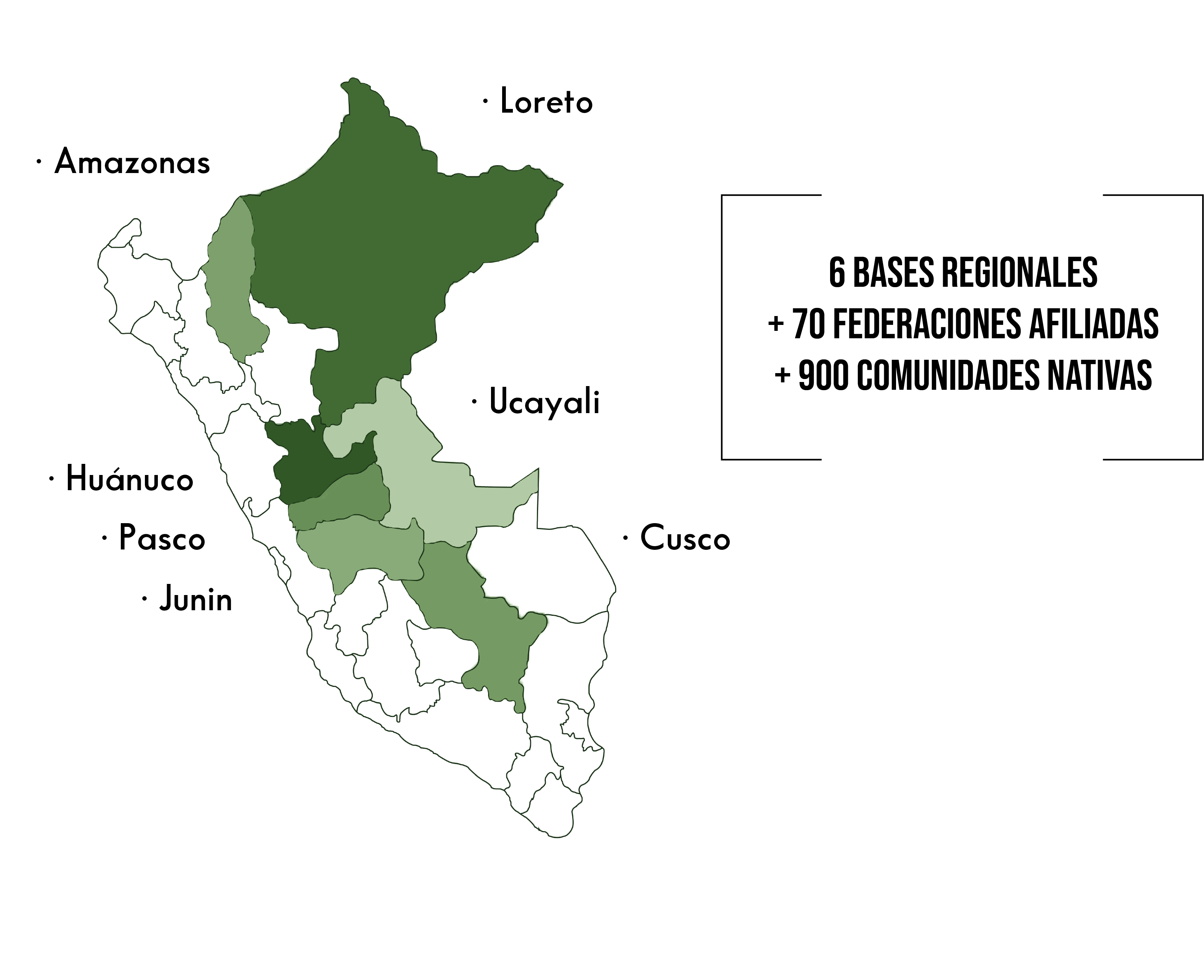 Confederación de Nacionalidades Amazónicas del Perú – CONAP ...